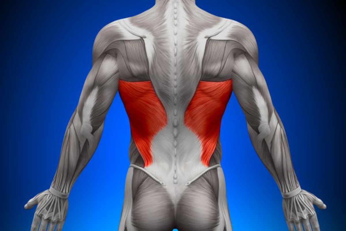 Strength Training For Swimmers (Detailed Program)