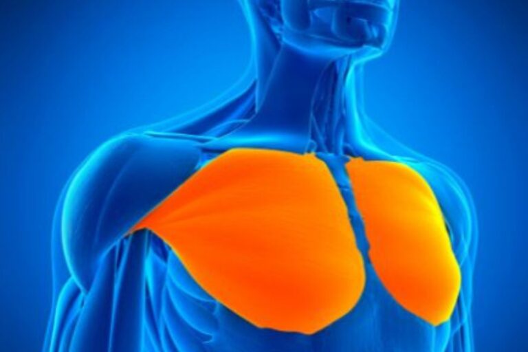 Strength Training For Swimmers (Detailed Program)