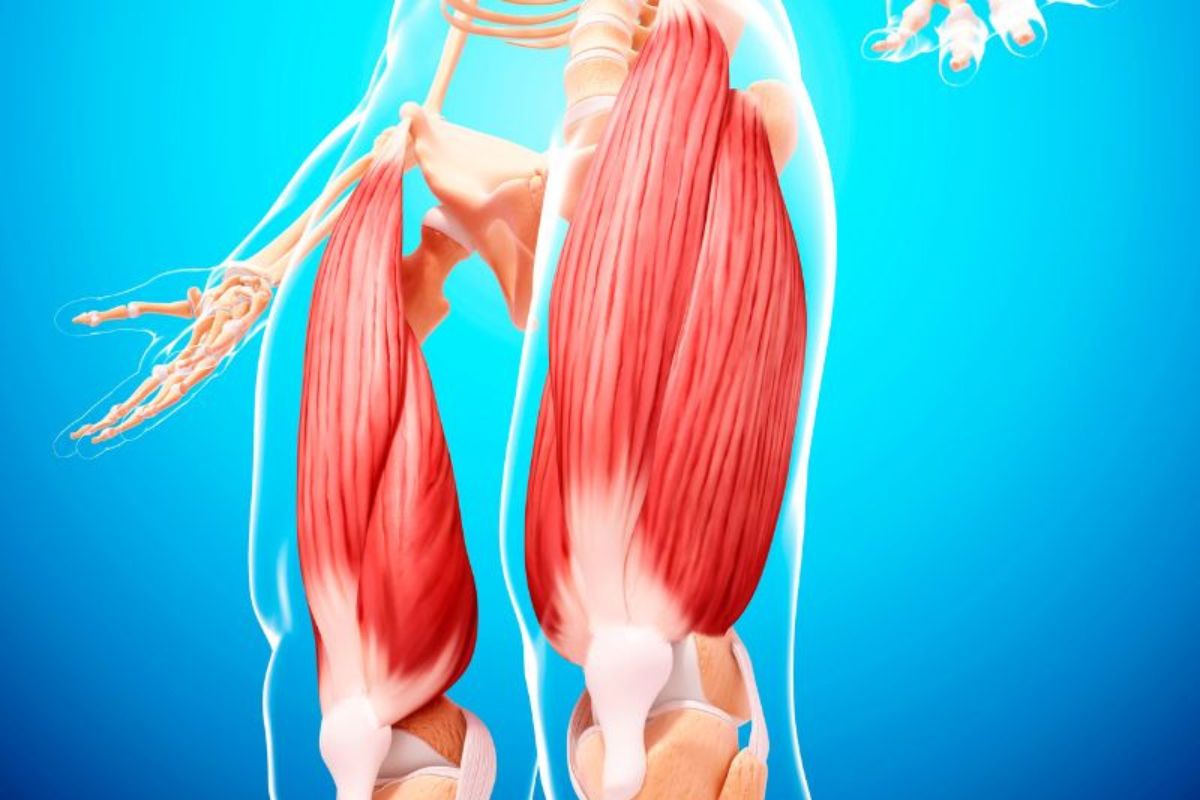 6 Benefits Of Clean And Jerk & Muscles It Works