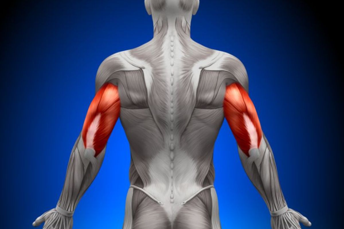 6 Benefits Of Clean And Jerk & Muscles It Works