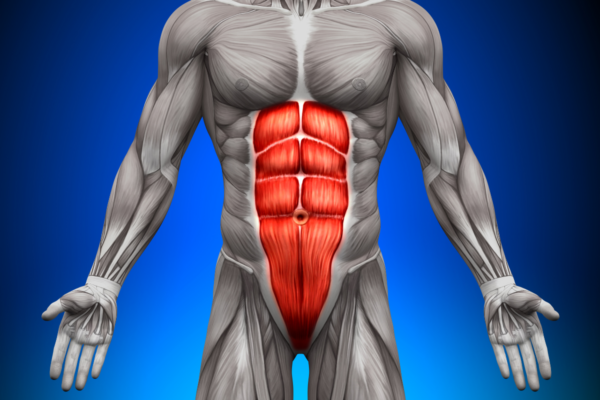 Roman Chair Exercises - Everything You Need To Know