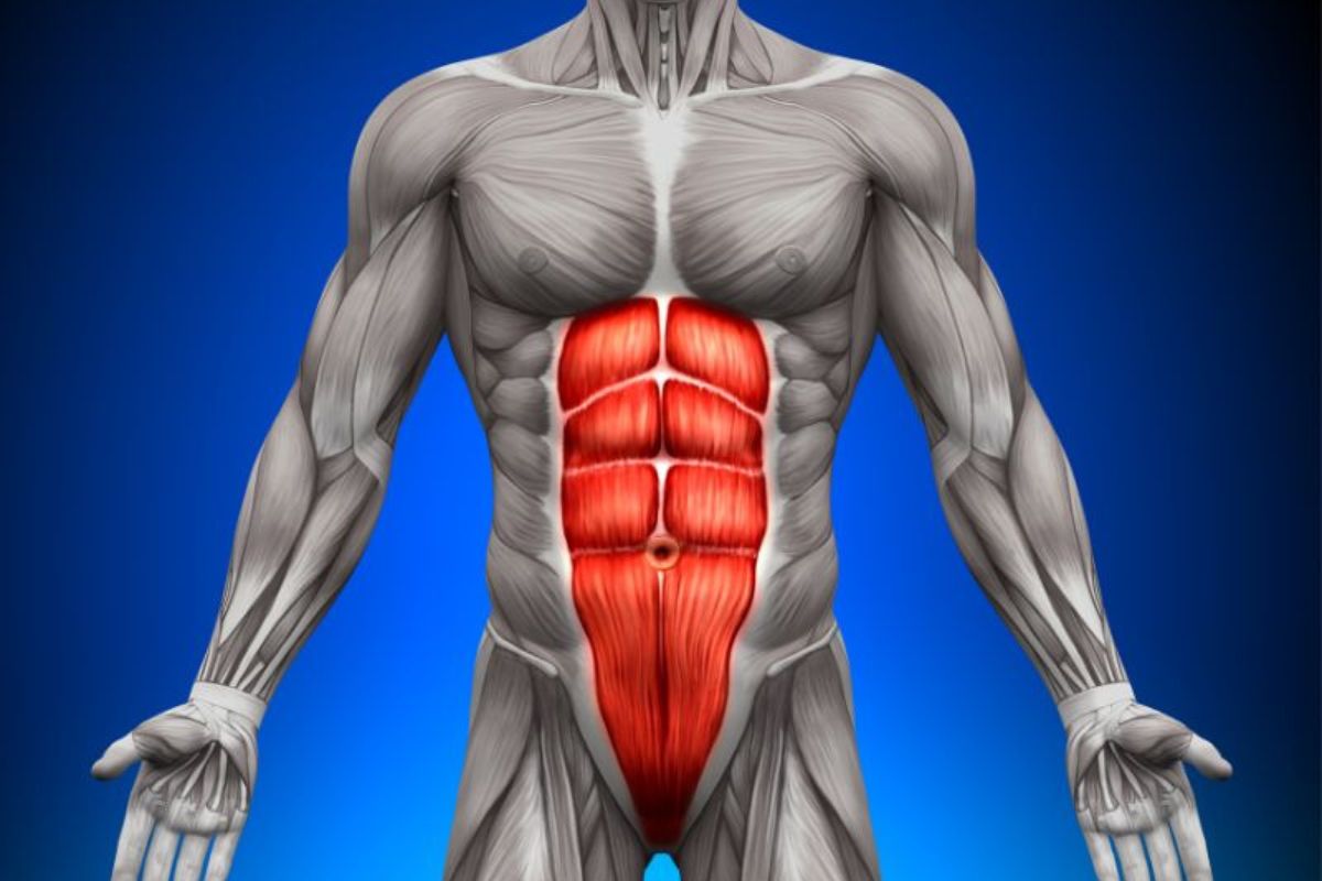 6 Benefits Of Clean And Jerk & Muscles It Works