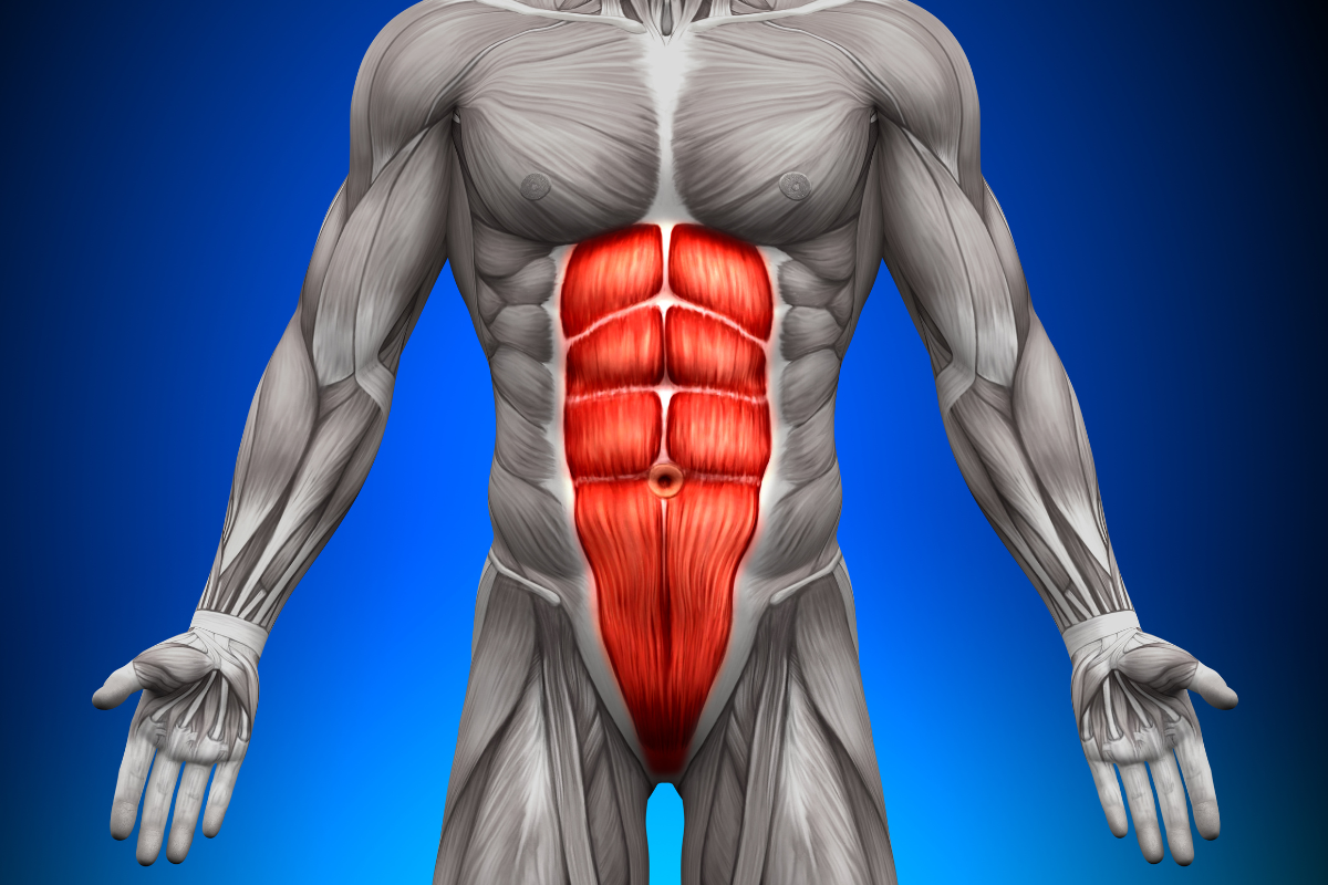 Roman Chair Exercises - Everything You Need To Know