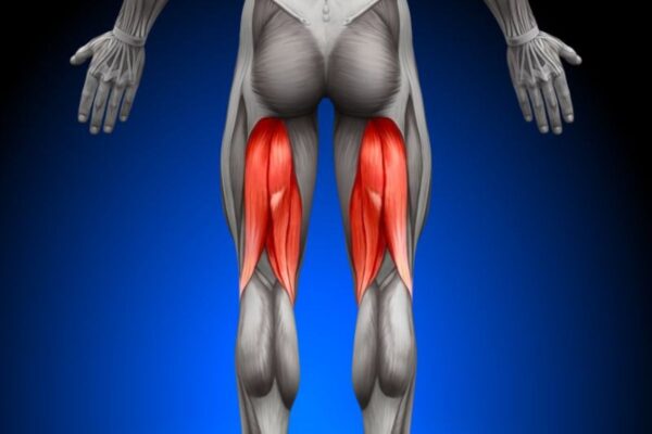 What Muscles Does The Elliptical Work?