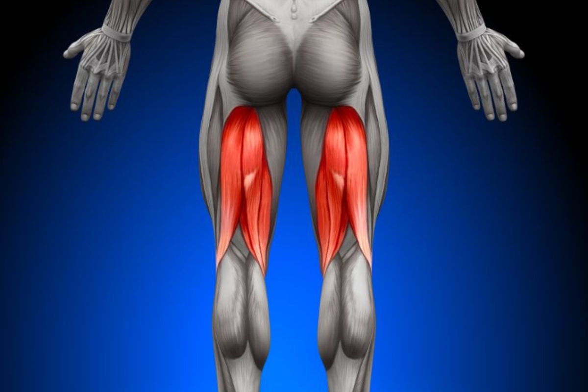 What Muscles Does The Elliptical Work?