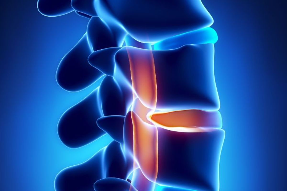 What Muscles Does The Elliptical Work?