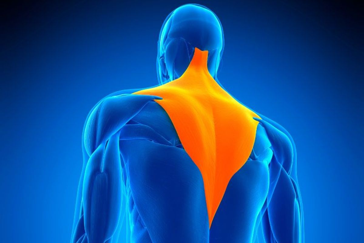 6 Benefits Of Clean And Jerk & Muscles It Works