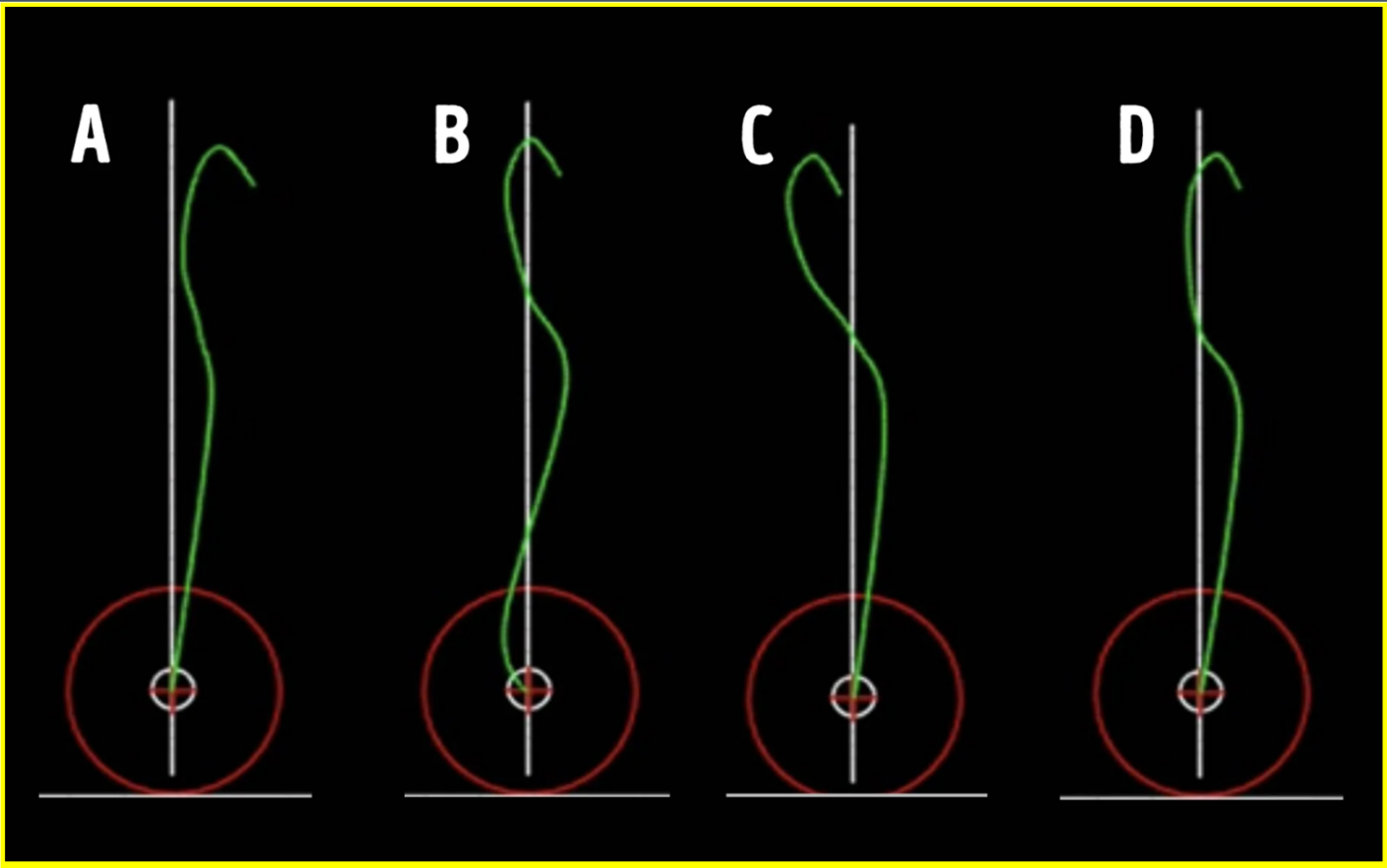 Bar Path Analysis: Maximizing Gains & Enhancing Technique