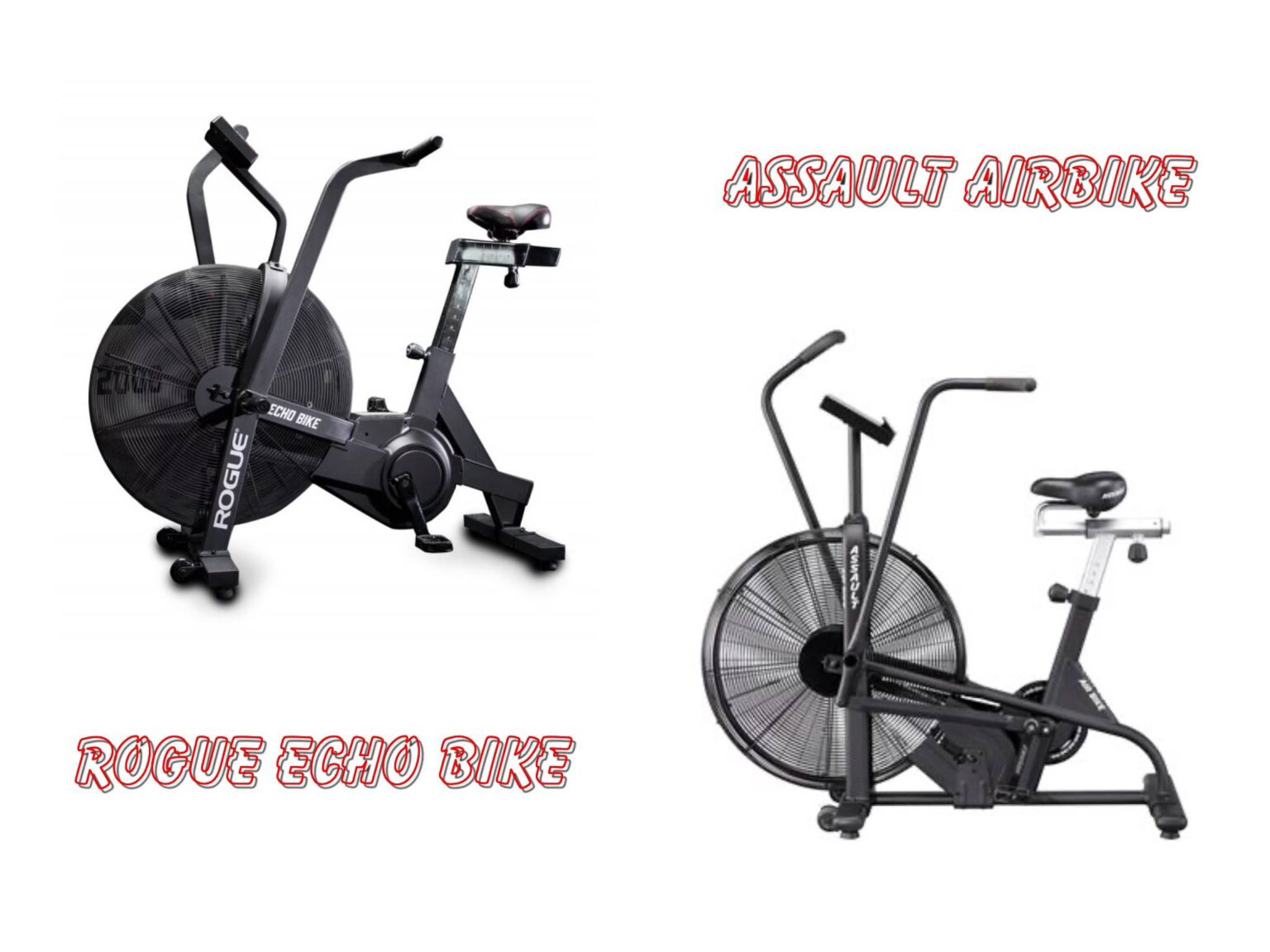 Assault Bike Vs Echo Bike - Which One Should You Get?