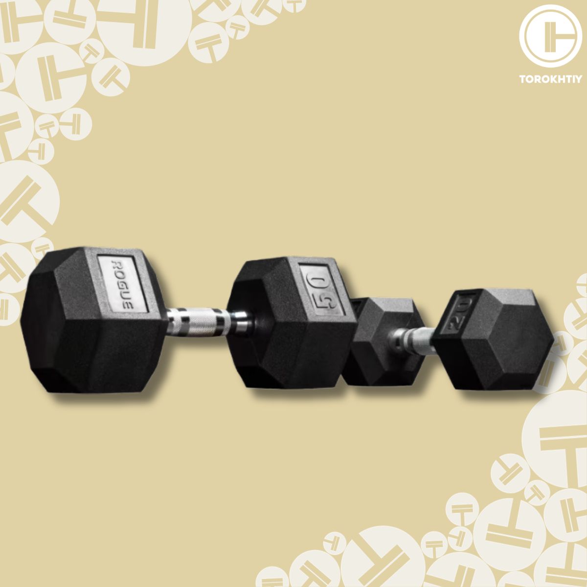 Ultimate Dumbbell Buying Guide: All You Need To Know