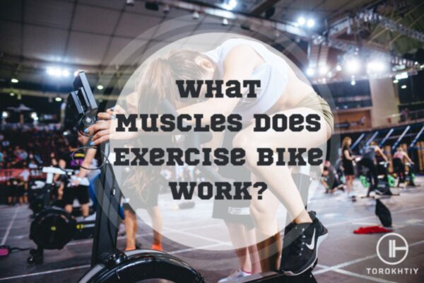 What Muscles Does Exercise Bike Work? - Torokhtiy Weightlifting