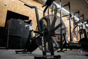 Rogue Echo Bike Review 2026