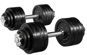 12 Different Types Of Dumbbells: The Ultimate Guide