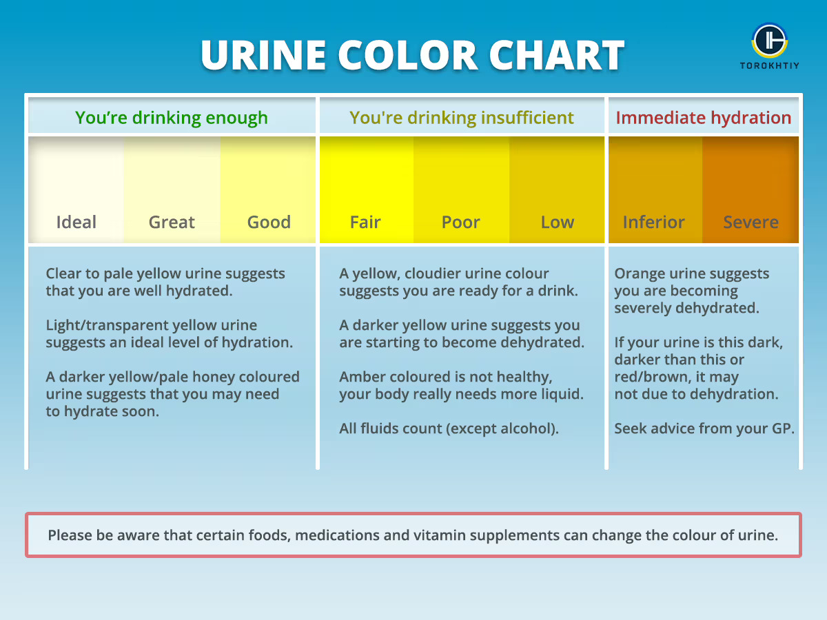 How Much Water To Drink With Creatine?
