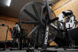 Rogue Echo Bike Review 2025