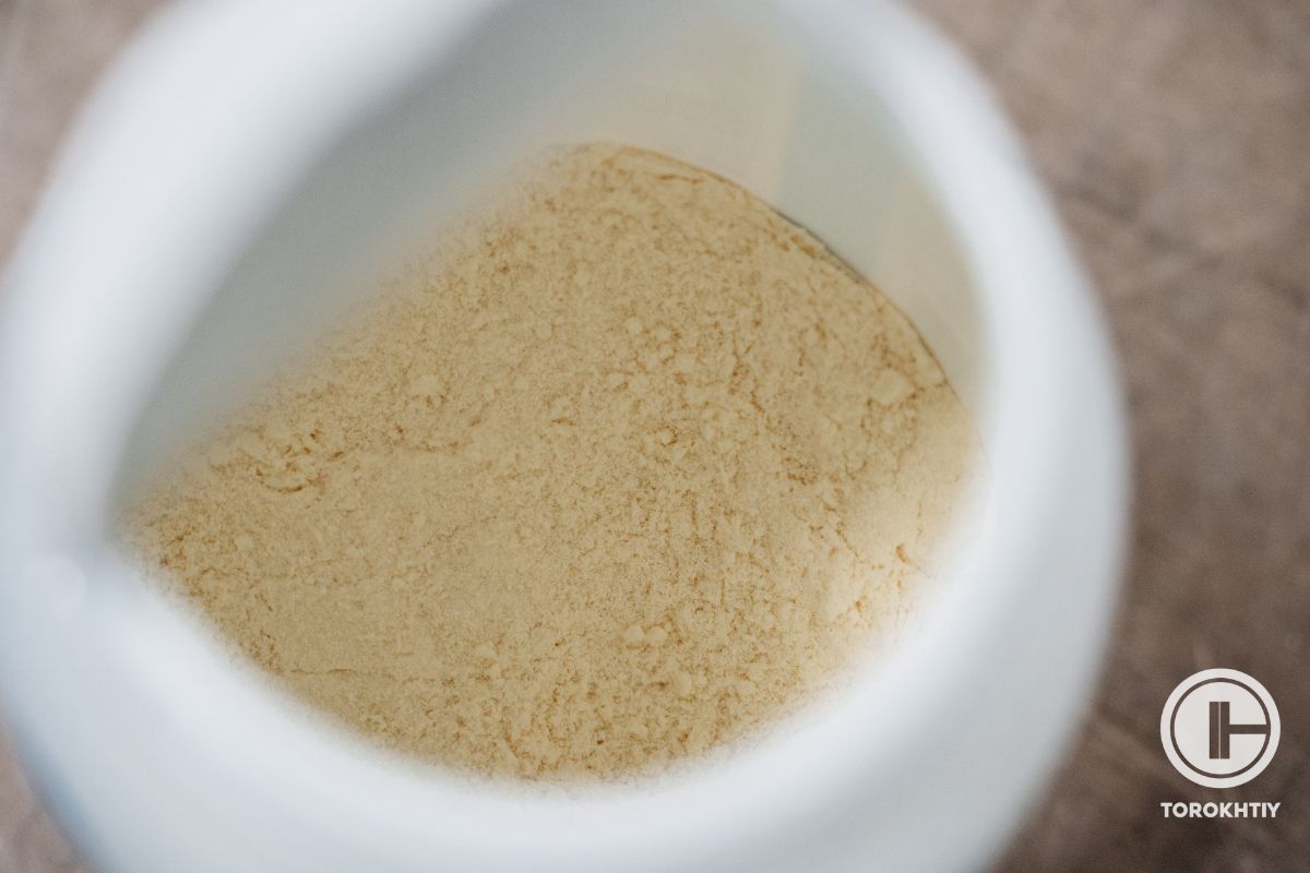 Xtend Pro Whey Isolate Protein Powder Review (2025)