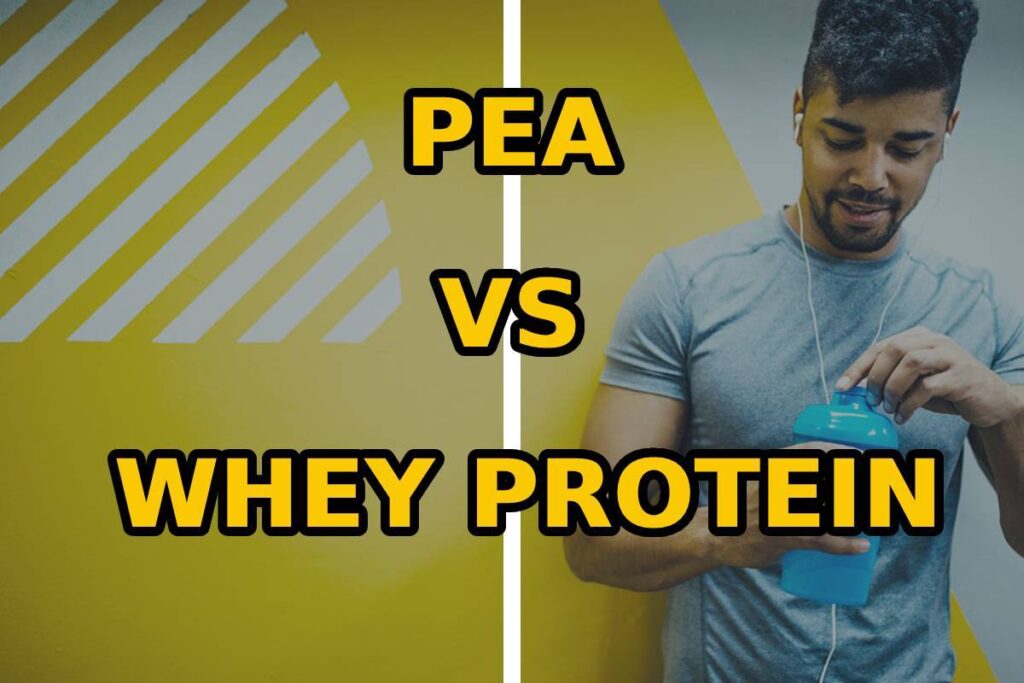 Pea Vs Whey Protein: Which Is More Effective?