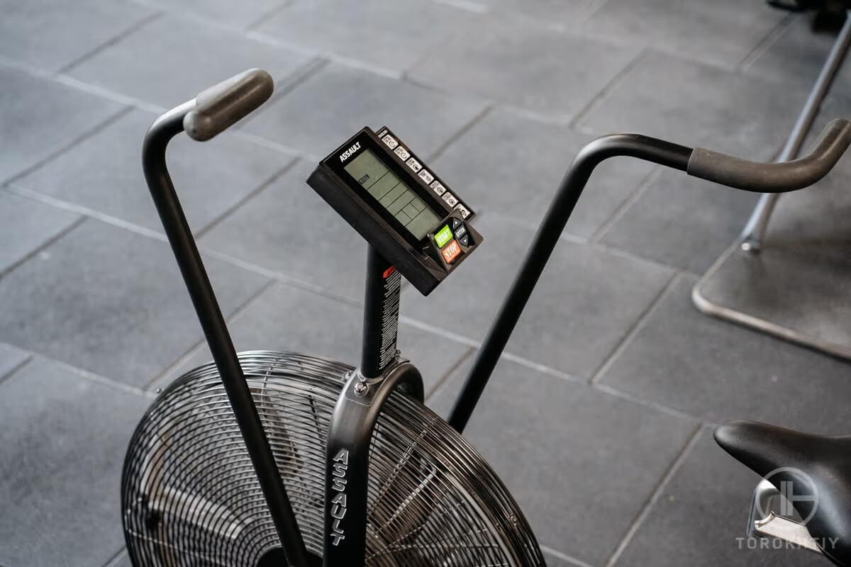 Schwinn Airdyne AD7 Review 2025