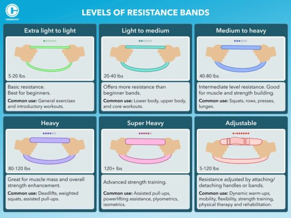 Ultimate Resistance Band Guide: All To Know Before Buying