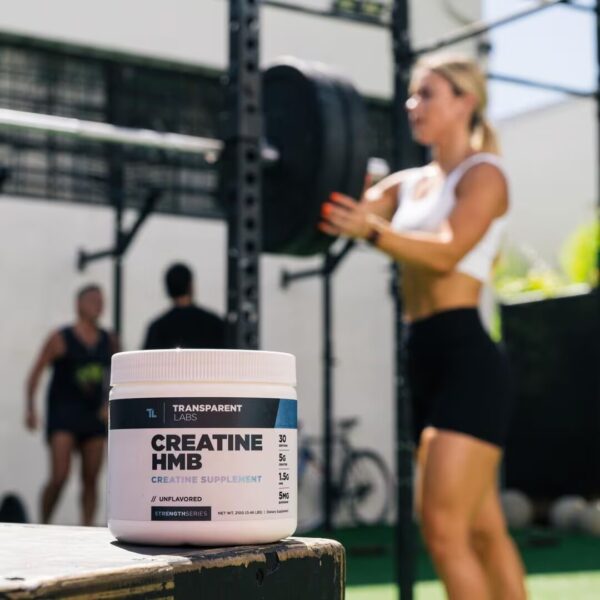 Carnitine Vs Creatine - Which Supplement Gets The Gold?