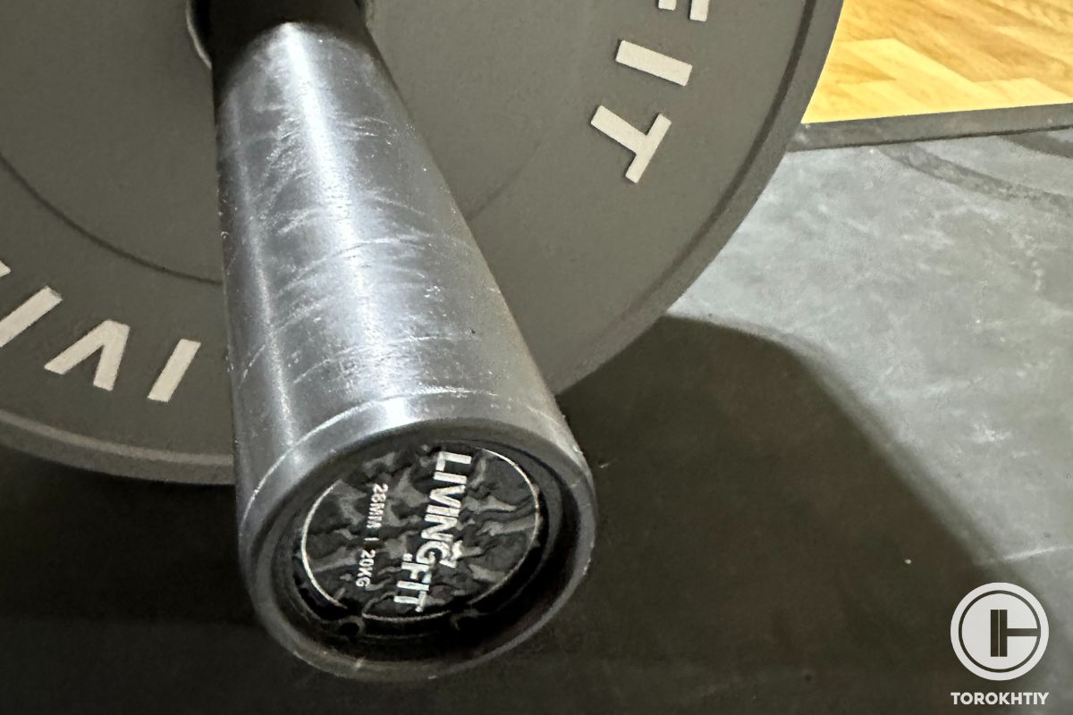 How Much Does A Barbell Weigh? (Different Types Explained)