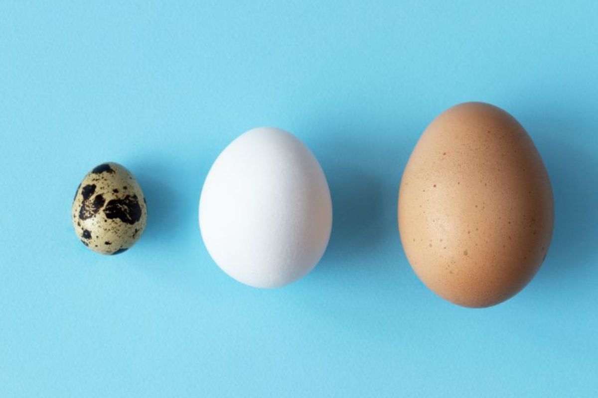 Eggs For Running – The Ultimate Powerhouse For Your Workout